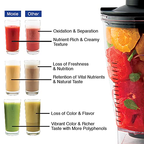 NUWAVE Infinity Moxie 64oz Blender – Professional Grade, Self-Cleaning - 6 presets & 10 Speed Settings for Shakes, Smoothies, Nut Butters, Crushed Ice & More – Comes w/Plunger & Scraper
