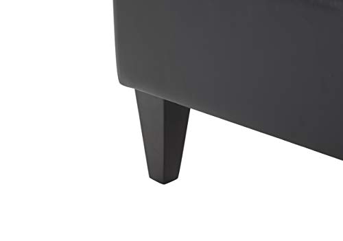 Amazon Brand – Rivet Rectangular Channel-Faux Leather Tufted Velvet Storage Ottoman with Soft-Close Hinge, 45.3"W, Black