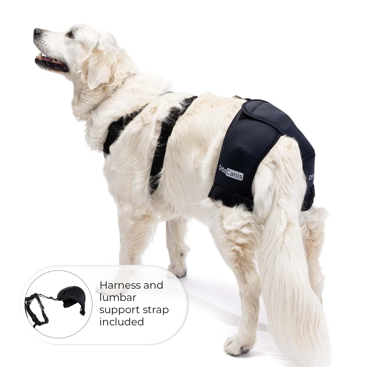 Ortocanis - Hip Support for Dogs with Hip Dysplasia or Osteoarthritis (L)