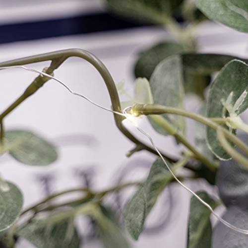 ANCHORED DECOR Artificial Eucalyptus Garland Vine comes with Fairy Led Lights Wedding Backdrop Arch Wall Decor Home Garden Greenery Garland Eucalyptus Leaves