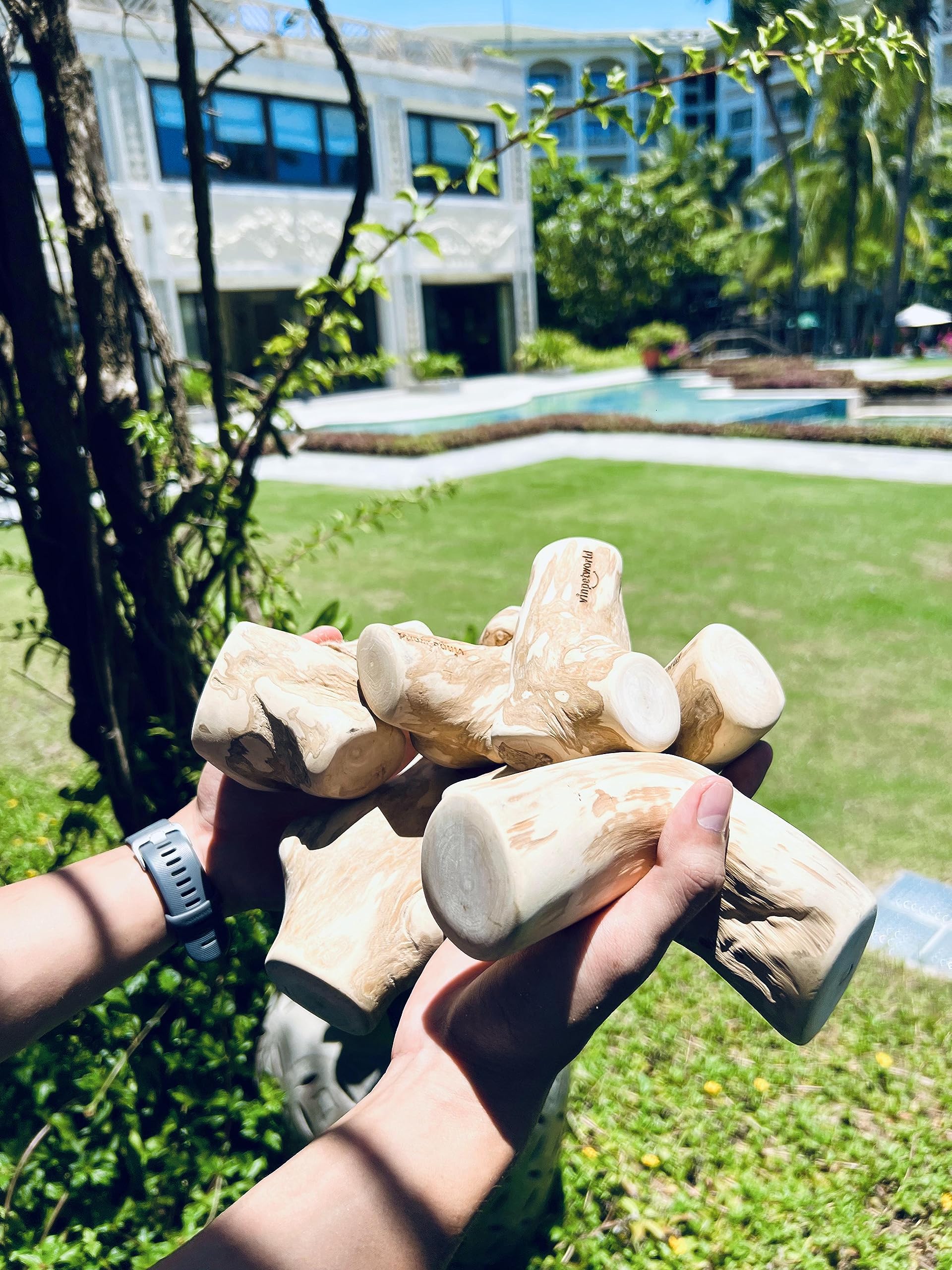 VINPETWORLD Dog Chew Toy - Boost Your Dog's Chewing Joy with This Safe, Natural Stick from Real Coffee Wood, Perfect for Your Joyful Four-Legged Friend - Size Medium (Pack of 2)