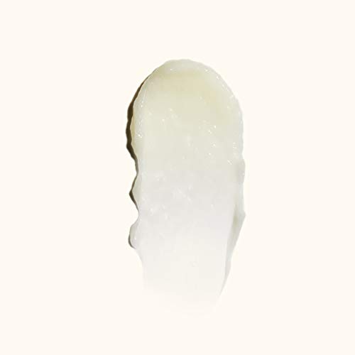 amika The Kure Repair Conditioner, 8.45 Fl oz (Pack of 1)