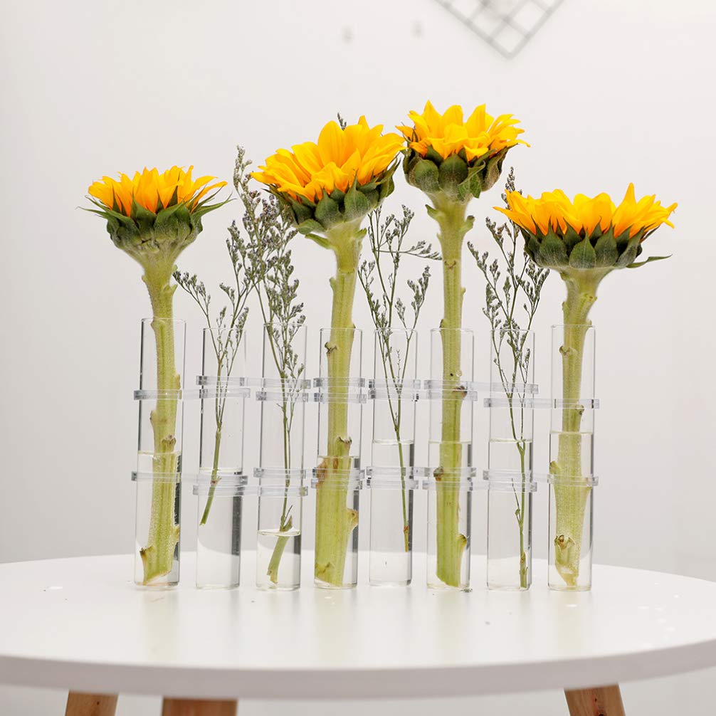 DOITOOL 8Pcs Test Tube Vase Decorative Glass Vase Hinged Bud Test Tubes Vases Planter Arranging Container Hydroponic Holder Decor with Hooks and Brushes 18cm