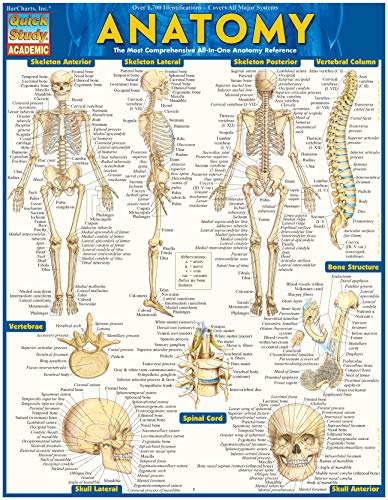 Anatomy - Reference Guide (8.5 x 11): a QuickStudy reference tool (Quickstudy Academic)