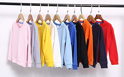 ALALIMINI Boys&Girls Crewneck Sweatshirts Toddler Kids Solid Cotton Long Sleeve Pullover Tshirts (Blue, 5T)