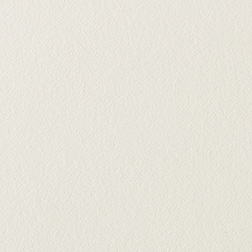 Watermark-free Resume Paper by Magnum Opus | 50 sheets | Exceptional ivory 28 lb 8.5x11 | Ideal stationery for professional/executive resumes letterhead and interviews