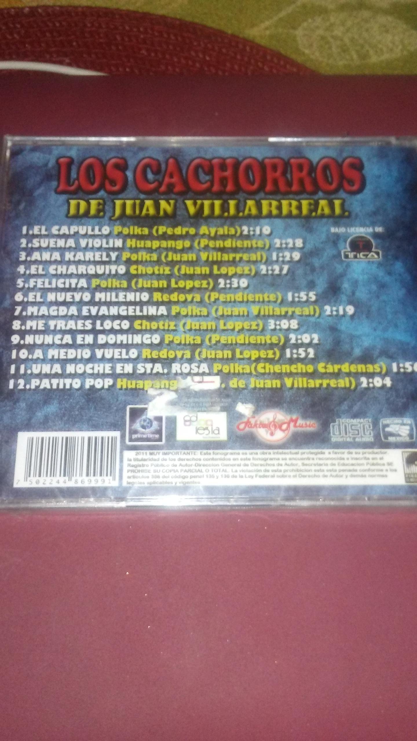 Los cachorros de juan villarreal