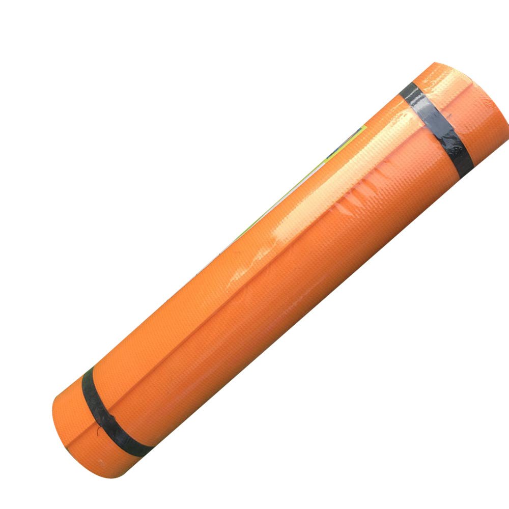 AlexGT Premium 4mm Thick Yoga Exercise Mat - Fitness Aerobic Gym Pilates Camping Mat - Non Slip