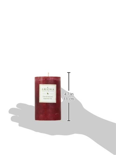 Aroma Naturals Holiday Orange, Clove and Cinnamon Essential Oil Scented Pillar Candle, Warm Spice, 2.5 inch x 4 inch