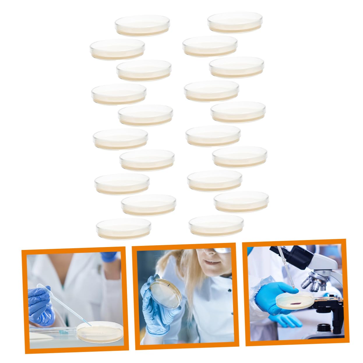 FELTECHELECTR 20 Pcs Petri Dish Agar Prepoured Nutrient Plates for Science Lab Experiment Accessories