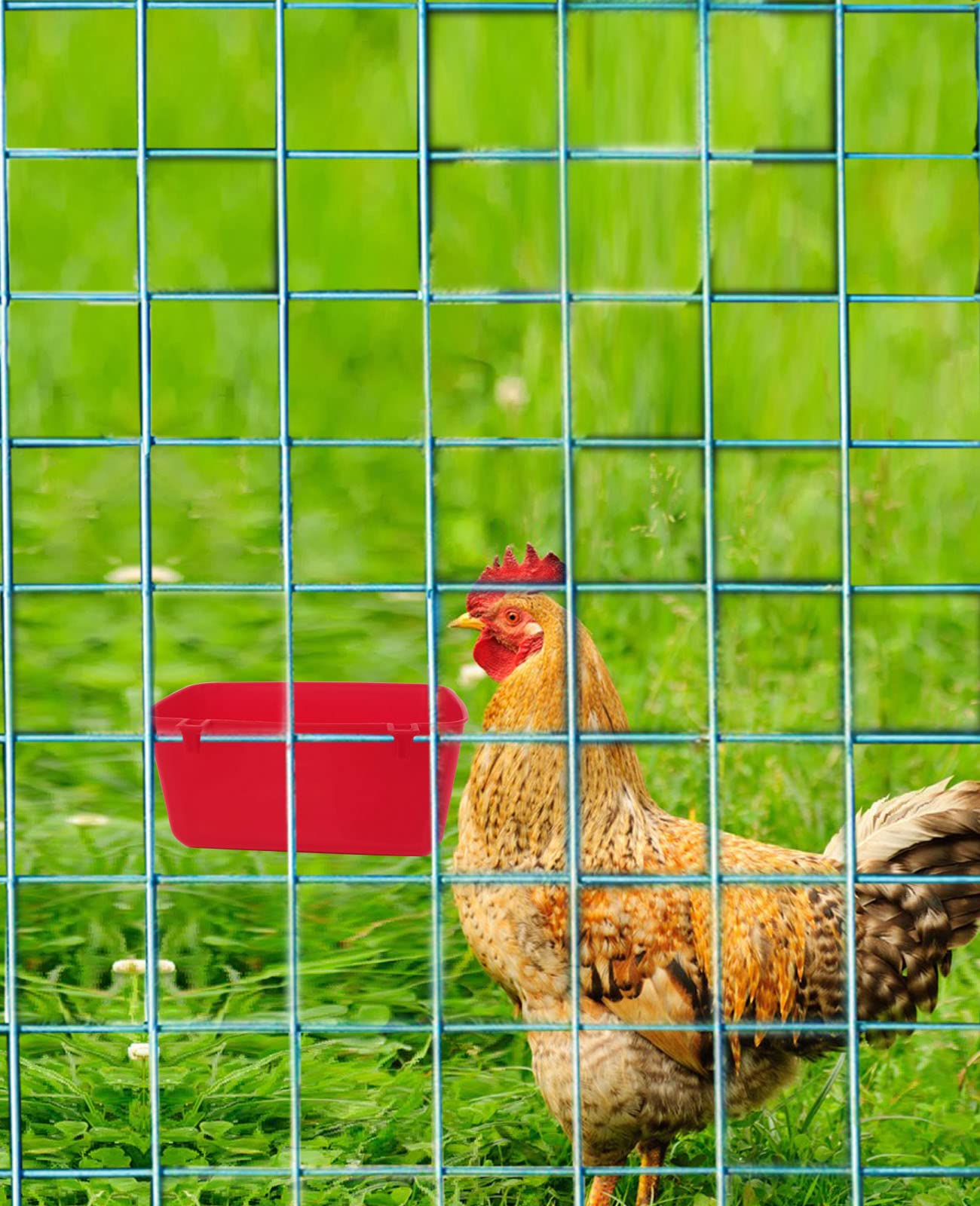 AMZSYLV 26 Pack Rabbit Feeder Waterer Chicken 21 oz Food Water Cage Cups Puppy Cat Hanging Feeding Dish Coop Bowl Watering Container Treats Drinker for Pigeon Bird Bath Basin Hamster Bed