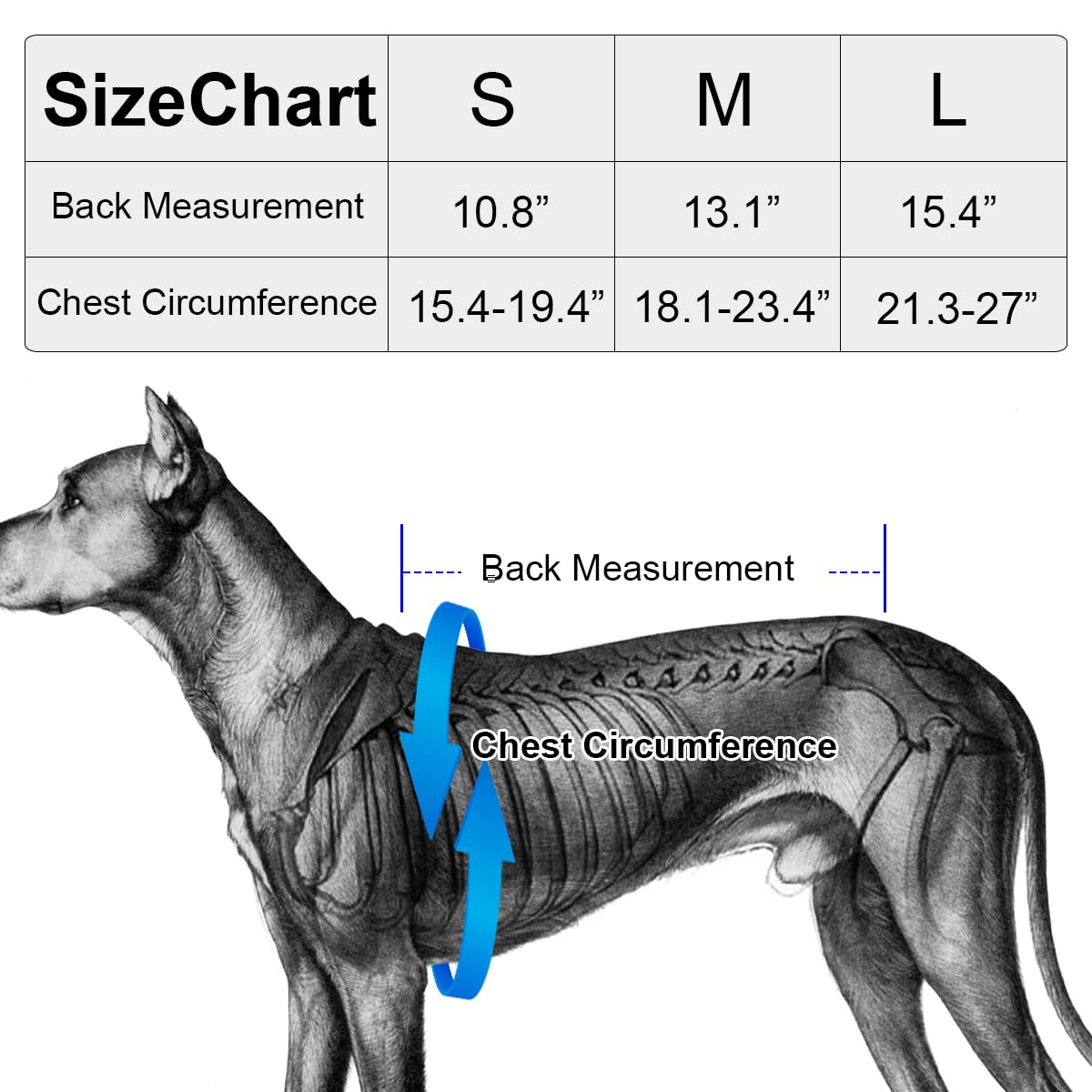In hand Back Brace for Dogs, Canine Dogs Back Brace Helps Small Dogs with IVDD, Arthritis, Surgery Recovery, Spinal Disc Pain Relief, Back Protector Support for Back Disease Prevention