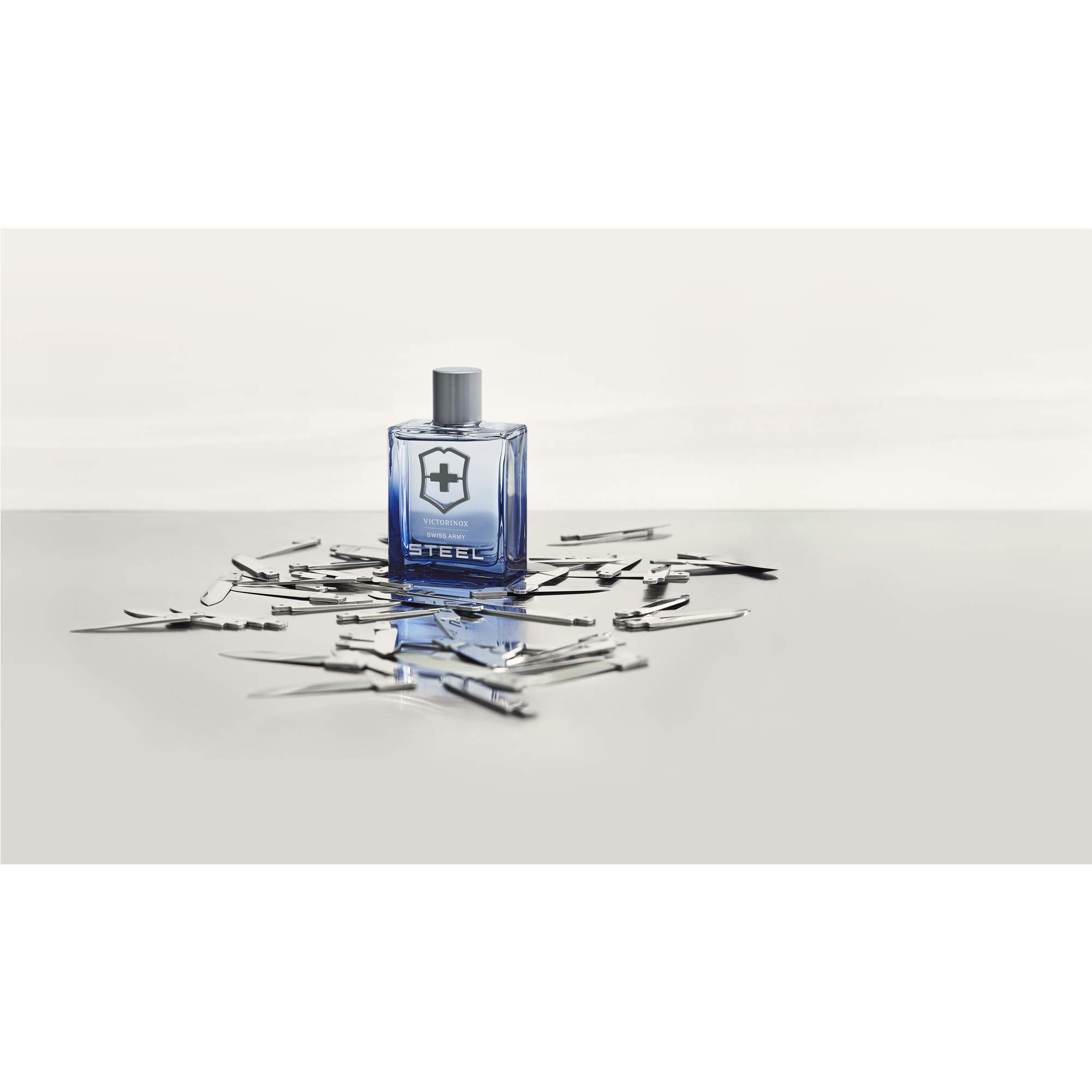 Victorinox Swiss Army Steel Men 3.4 oz EDT Spray