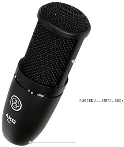 AKG Pro Audio P120 - Affordable 2/3-Inch Diaphragm Condenser Microphone for Clear Vocals & Instruments. Studio Recording or Live. XLR Connector. Black