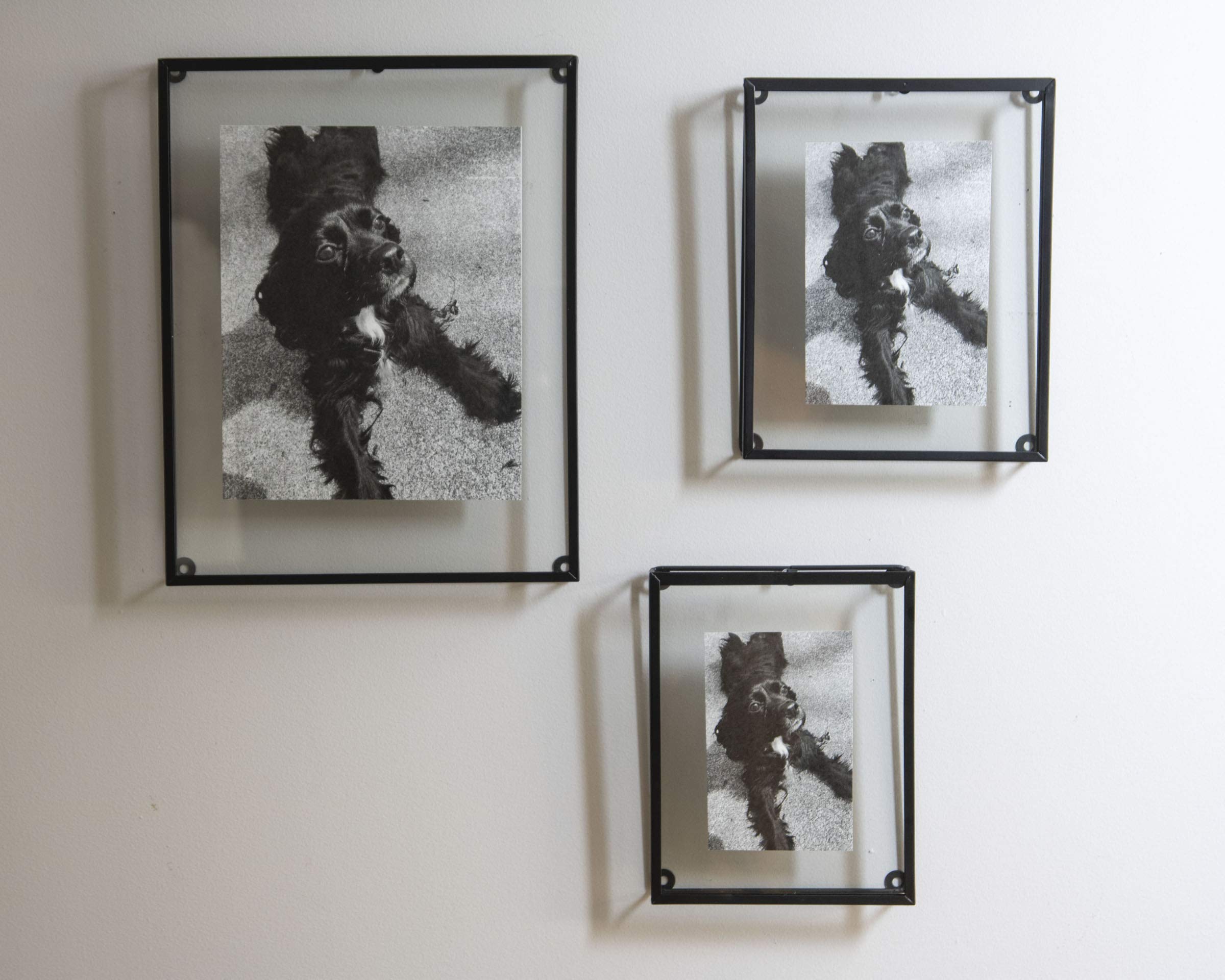 Foreside Home & Garden Black 4 x 6 inch Oversized Metal Decorative Picture Frame