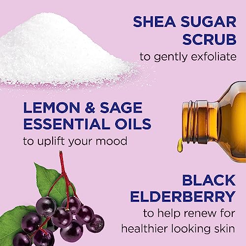 Dr Teal's Shea Sugar Body Scrub, Black Elderberry with Essential Oils, 19 oz (Pack of 3) (Packaging May Vary)