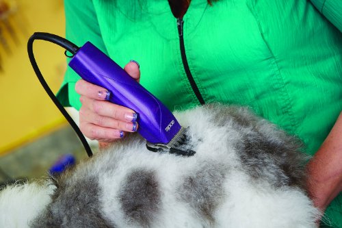 Andis EasyClip Pro-Animal 11-Piece Detachable Blade Clipper Kit in Frustration Free Packaging, Pet Grooming, MBG-2 (65785)
