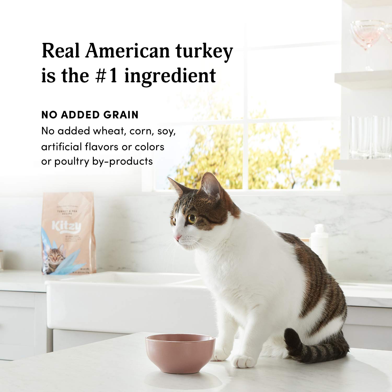 Amazon Brand - Kitzy Dry Cat Food, Turkey and Pea Recipe, Grain-Free (12 lb bag)