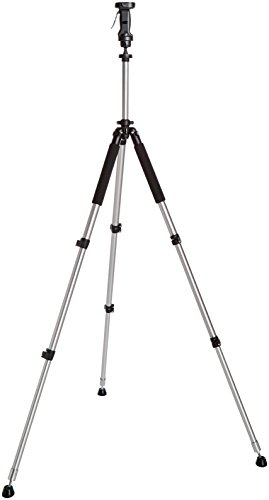 Amazon Basics Pistol Grip Camera Travel Tripod With Bag - 34.4 - 72.6 Inches, Silver and Black