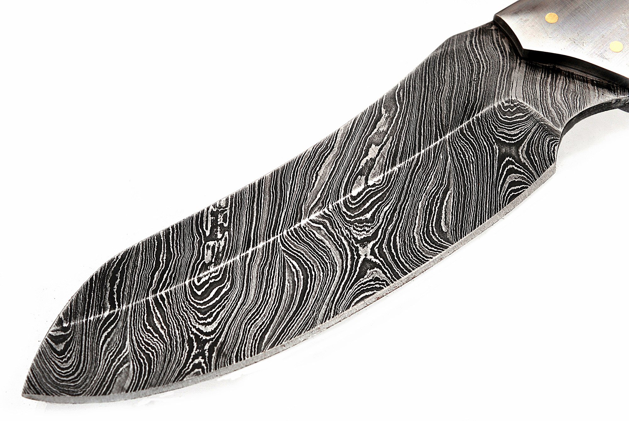 AishaTech Sharky Hand Made Hunting Knife Damascus Steel Blade Wood Brass Handle
