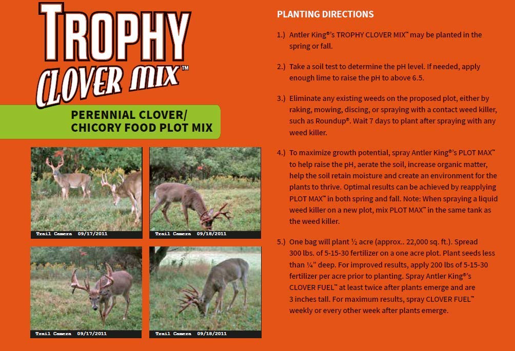 Antler King Trophy Clover Mix