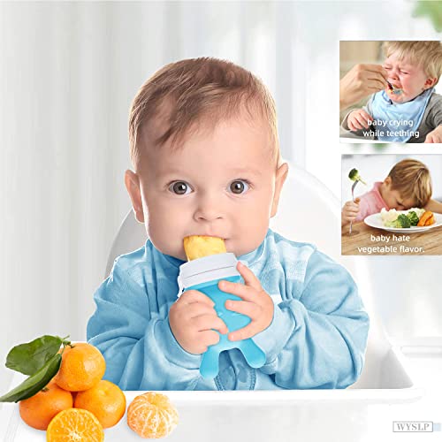Baby Fruit Feeder Silicone Food Pacifier | Infant Teething Relief Toy Teether | Milk Frozen Mesh Feeders | Safely Self Feeding Teethers for Babies 0-6-12-18 Months Boys and Girls,SkyBlue
