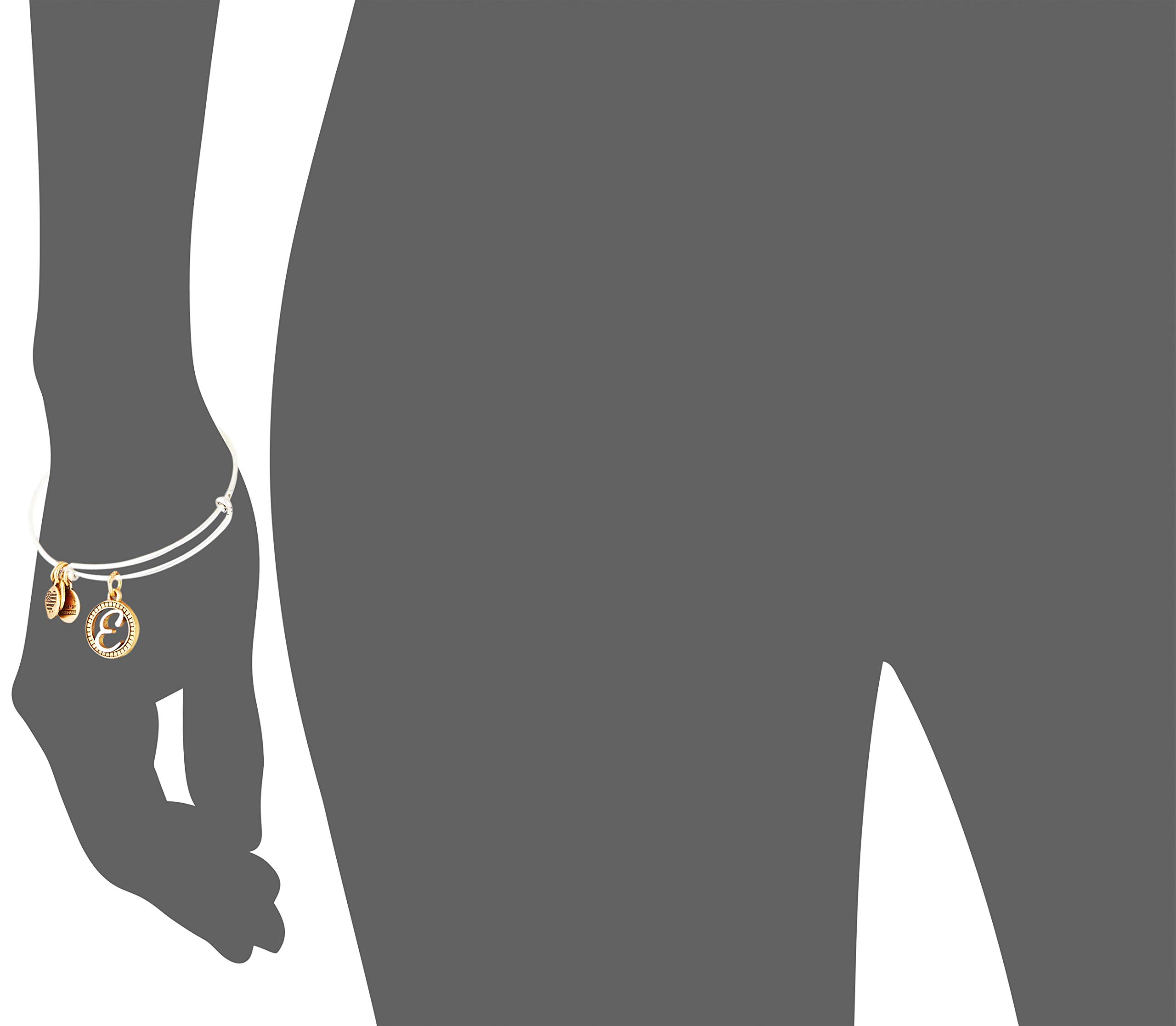 Alex and Ani Women's Initial E II Bangle Two Tone Bracelet, Rafaelian Silver