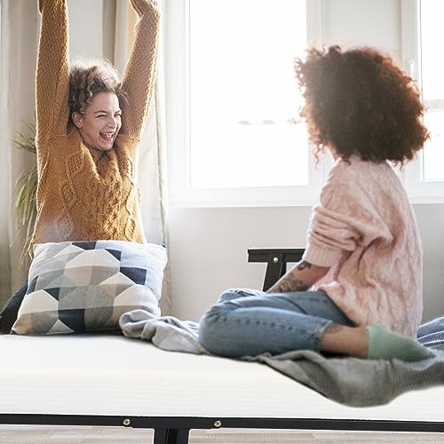 Apelila Rollaway Bed, Folding Bed Folding Guest Bed with Memory Foam Mattress Portable (U Shaped Leg)