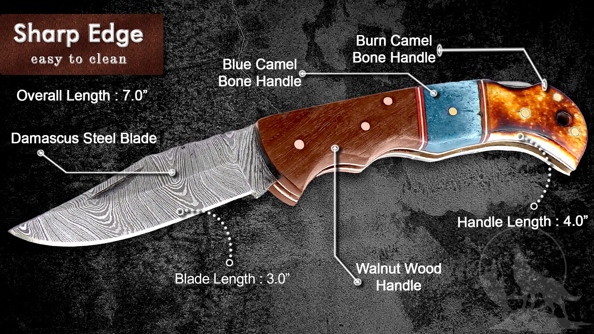 Back Lock Handmade Folding knifeBack Lock Pocket knife Damascus Steel Blade Back Lock Camel Bone Handle Leather Sheath BW-5173