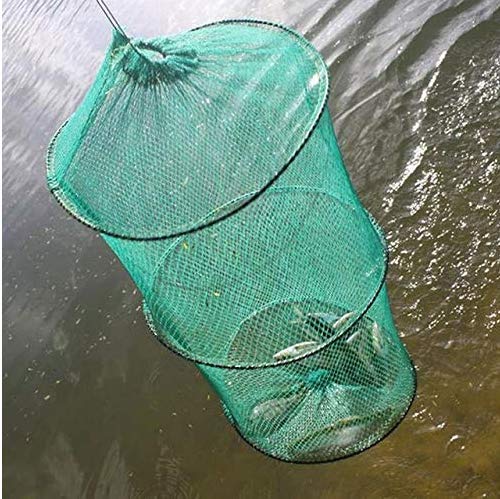 Amandaus 2 Layers Portable Fishing Net Fish Shrimp Cage Cast Net Fishing Trap Network Foldable Fishing Net Tackle 37 x 30cm