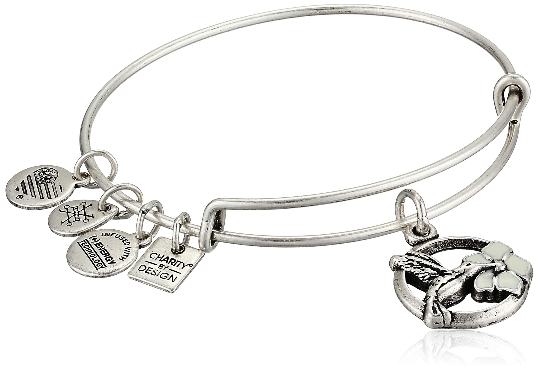Alex and Ani Tokens Expandable Bangle for Women, Hummingbird Charm, Rafaelian Silver Finish, 2 to 3.5 in
