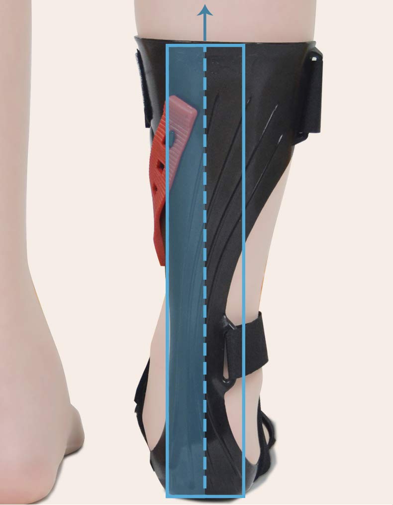 Ankle Brace - Ankle & Foot Orthosis Support for Drop Foot,Nerve Injury,Foot Position & Relieve Pressure - Adjustable AFO Brace,Right,S