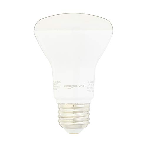Amazon Basics 7 W Equivalent 50 Watt, Dimmable, R20 LED Light Bulb , Daylight White, 2-Pack