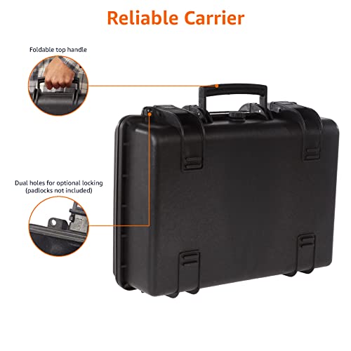 Amazon Basics Medium Hard Camera Case, 18 x 14 x 6 Inches, Black, Solid