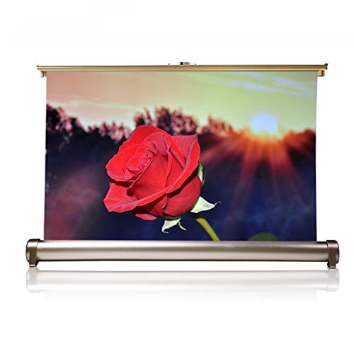 APAINI 20 Inch Projector Screen 16:9 Desktop Portable Front Projection Screen for Business Meeting
