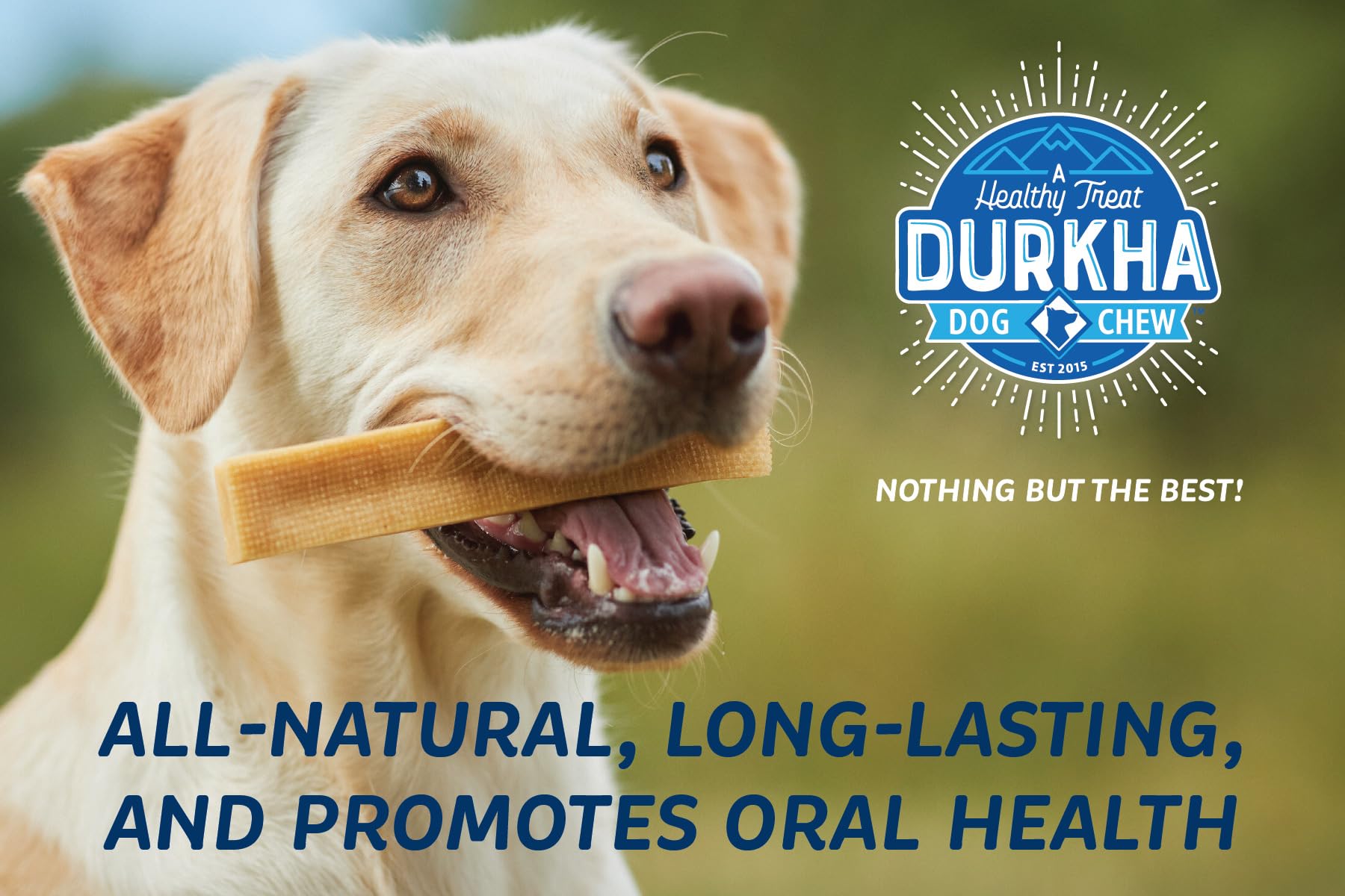 Durkha Yak Himalayan Dog Chews | Natural Long Lasting Dog Chew Made from Yak or and Cow Milk | Great for Aggressive Chewers, 5 Piece, Medium(3-4 OZ per Piece)