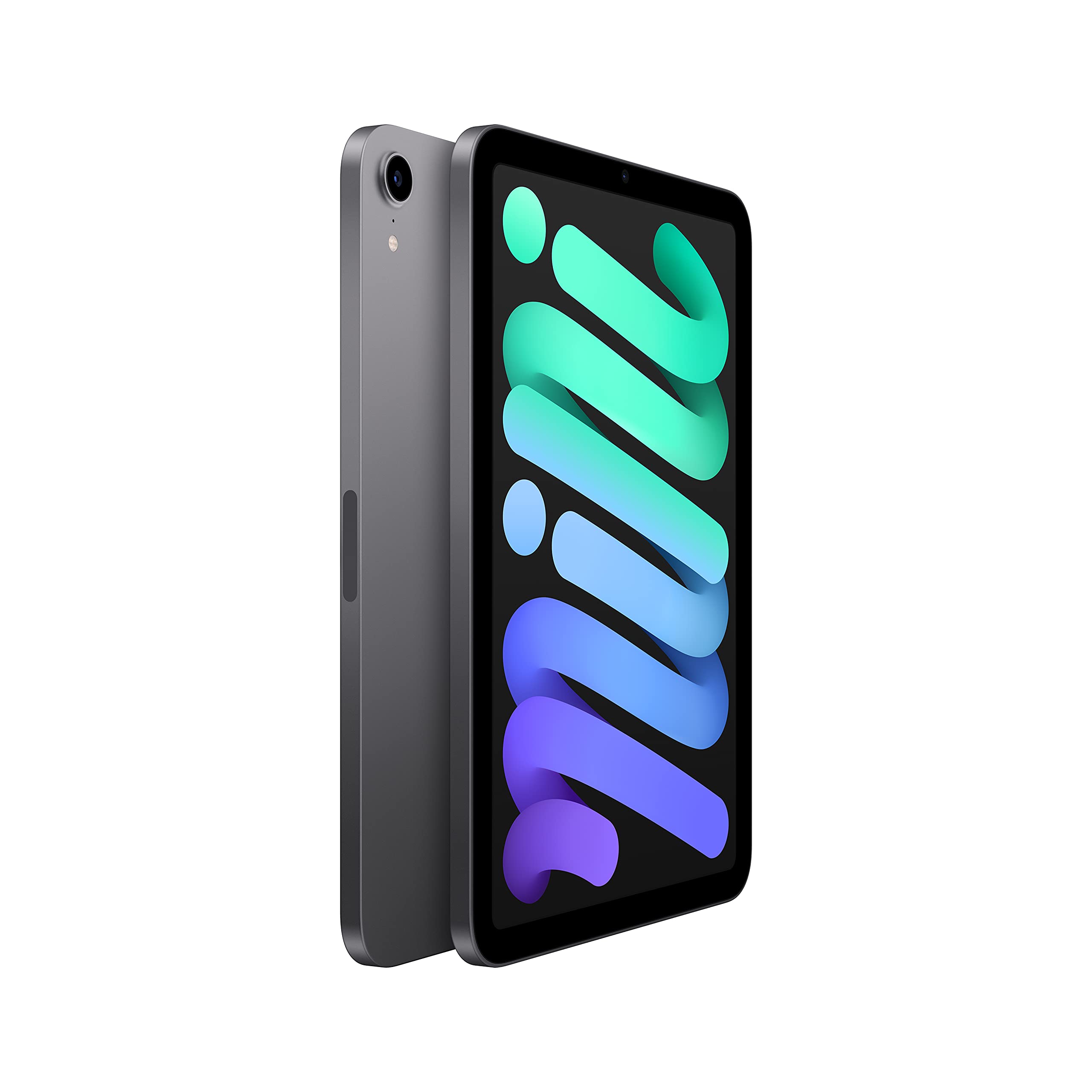 Apple iPad mini (6th generation): with A15 Bionic chip, 8.3-inch Liquid Retina display, 256GB, Wi-Fi 6, 12MP front/12MP back camera, Touch ID, all-day battery life β Space Gray
