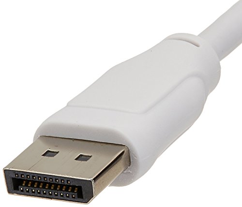 Amazon Basics Display Port to VGA Display Monitor Adapter, 1-Pack, White