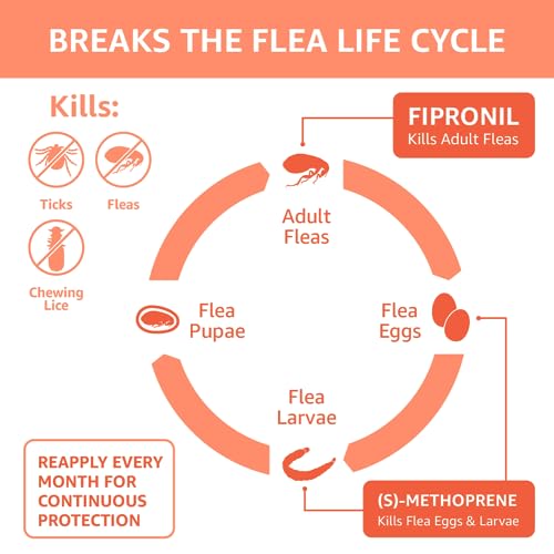 Amazon Basics Flea and Tick Topical Treatment for Small Dogs (5-22 pounds), 3 Count (Previously Solimo)