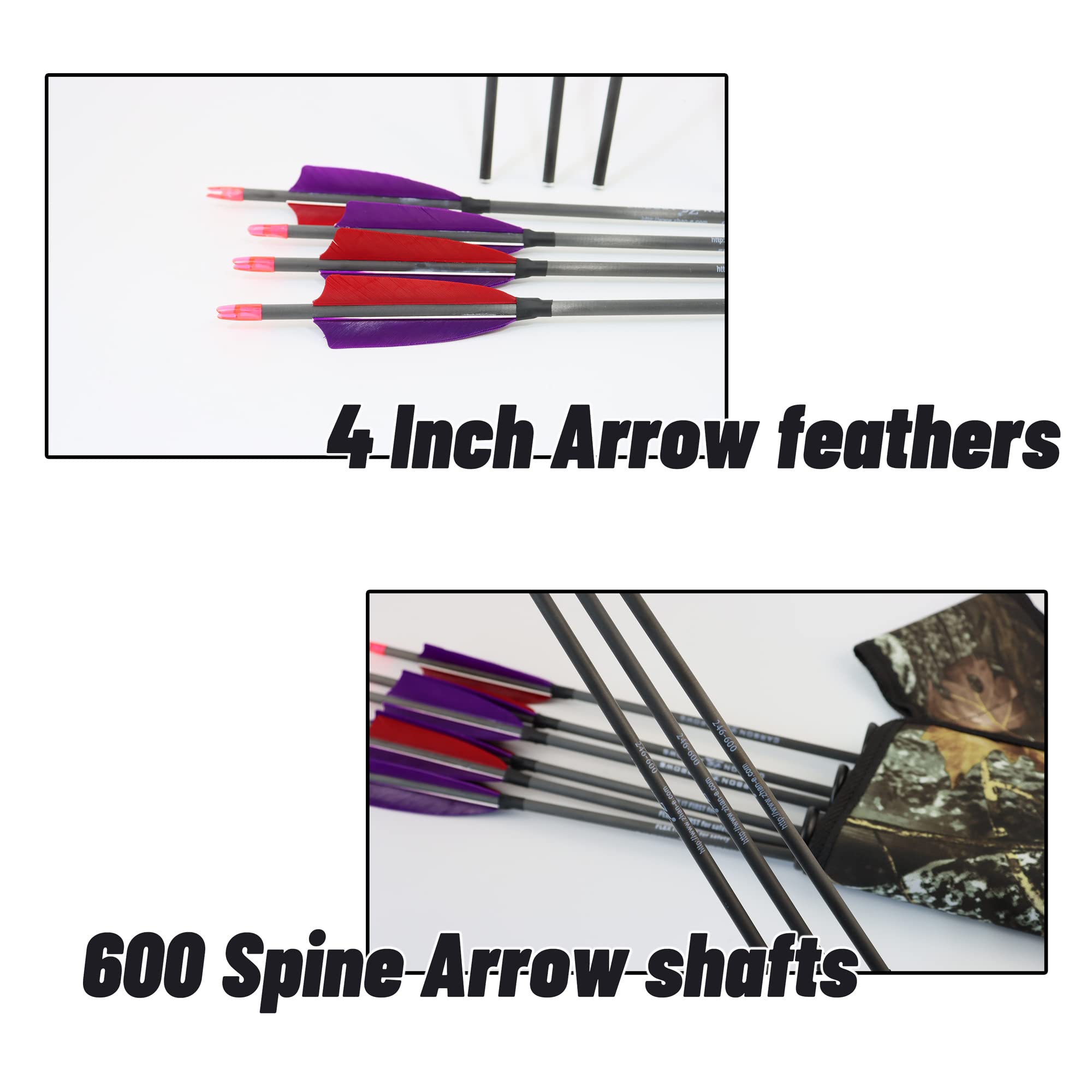 Archery Carbon Arrow 31 inch 600 Spine Pure Carbon with 100 Grain Screw Tips, Hunting Arrows for Compound & Recurve Bow 12PCS