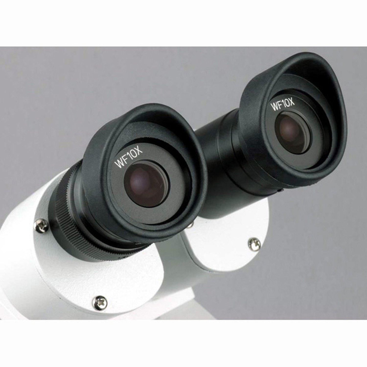 AmScope SE303-PZ Binocular Stereo Microscope, WF10x and WF20x Eyepieces, 10X/20X/30X/60X Magnification, 1X and 3X Objectives, Tungsten Lighting, Reversible Black/White Stage Plate, Pillar Stand, 110V