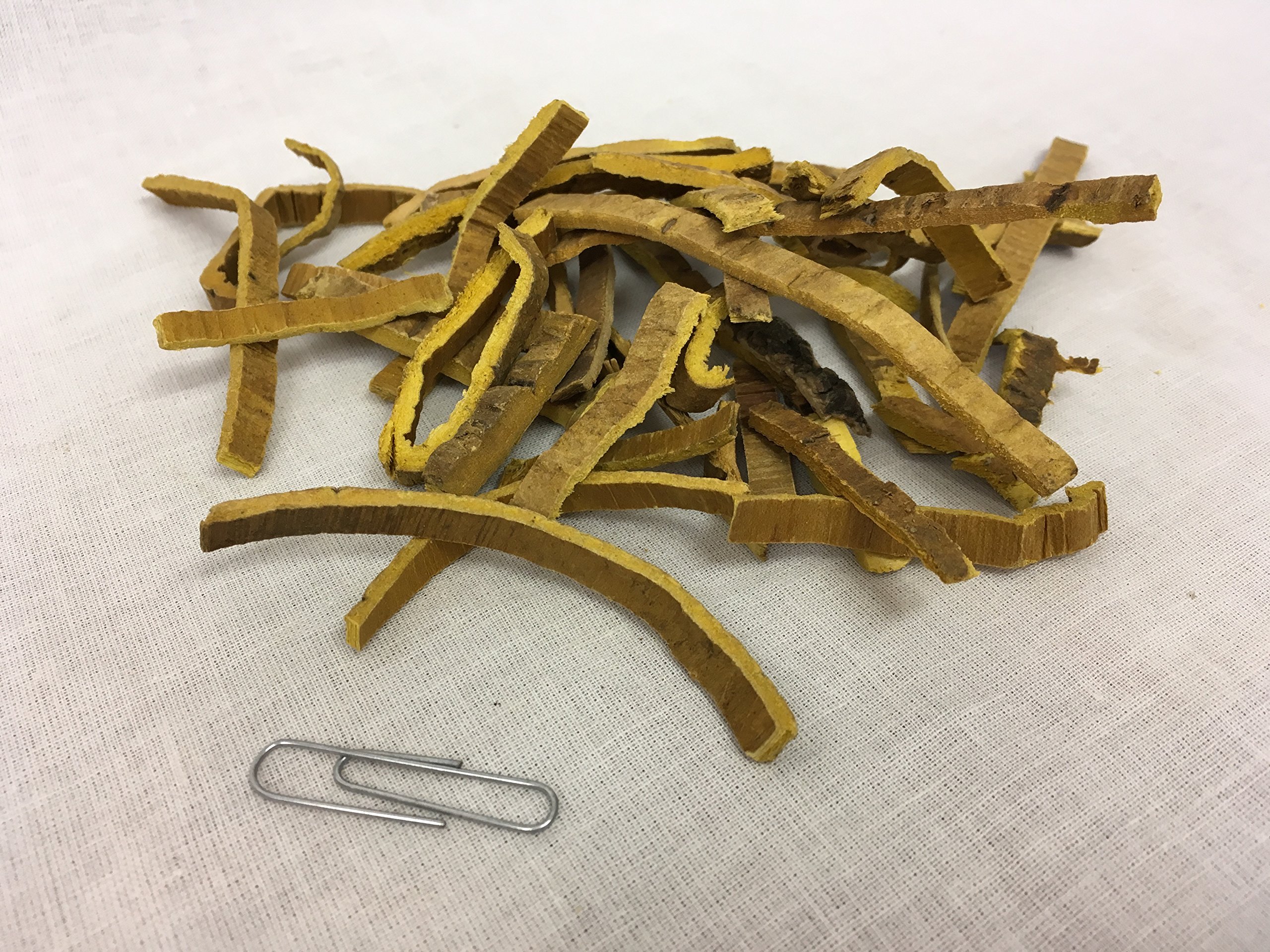 Amur Cork Tree Bark | Phellodendron chinense Schneid. | Huang Bai | 黄柏