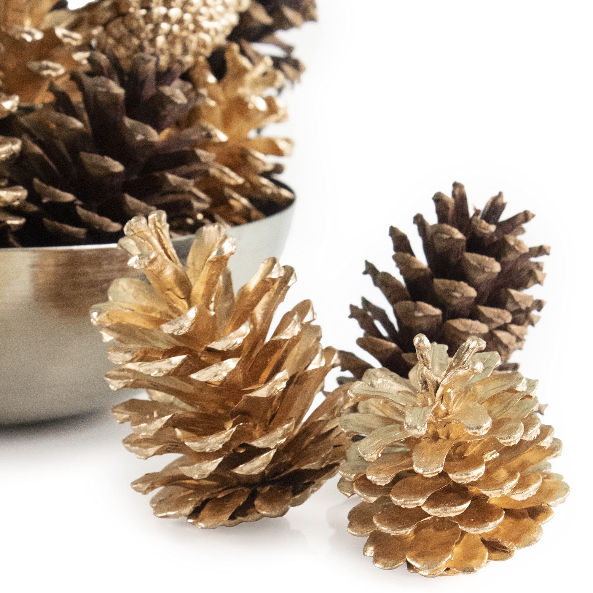 ANDALUCA Mixed Natural & Gold Decorative Pinecone Vase & Bowl Fillers | Pinecones for Decorating & Home Decor (Gold)