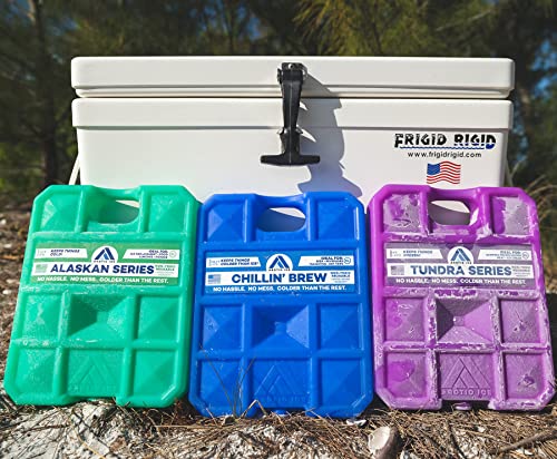 ARCTIC ICE Tundra Series, Long Lasting Reusable Ice Pack, Purple, Large, 2.5 lb