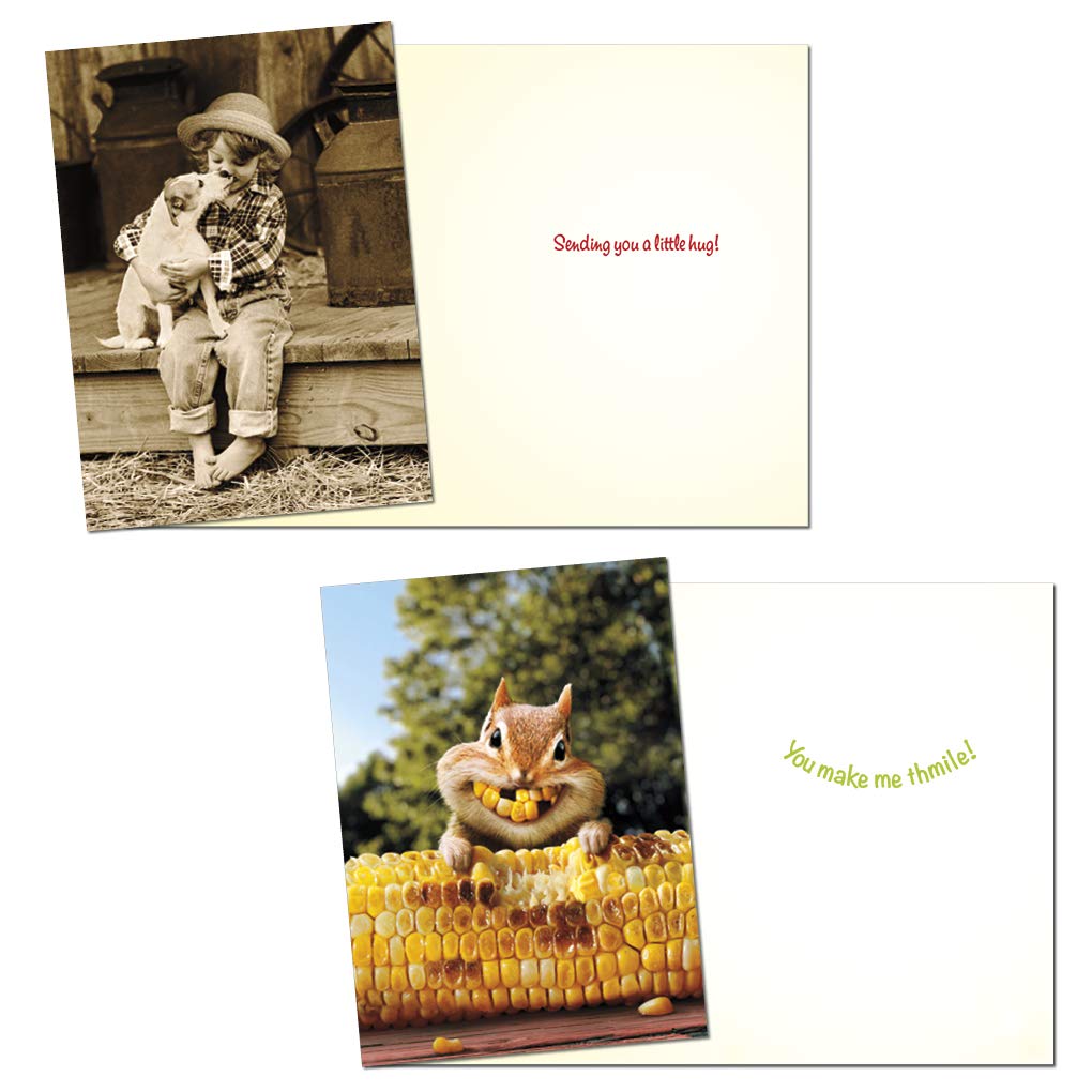Avanti Press Encouragement and Friendship Greeting Card Variety Pack, 6-Count, Model Number: 32090