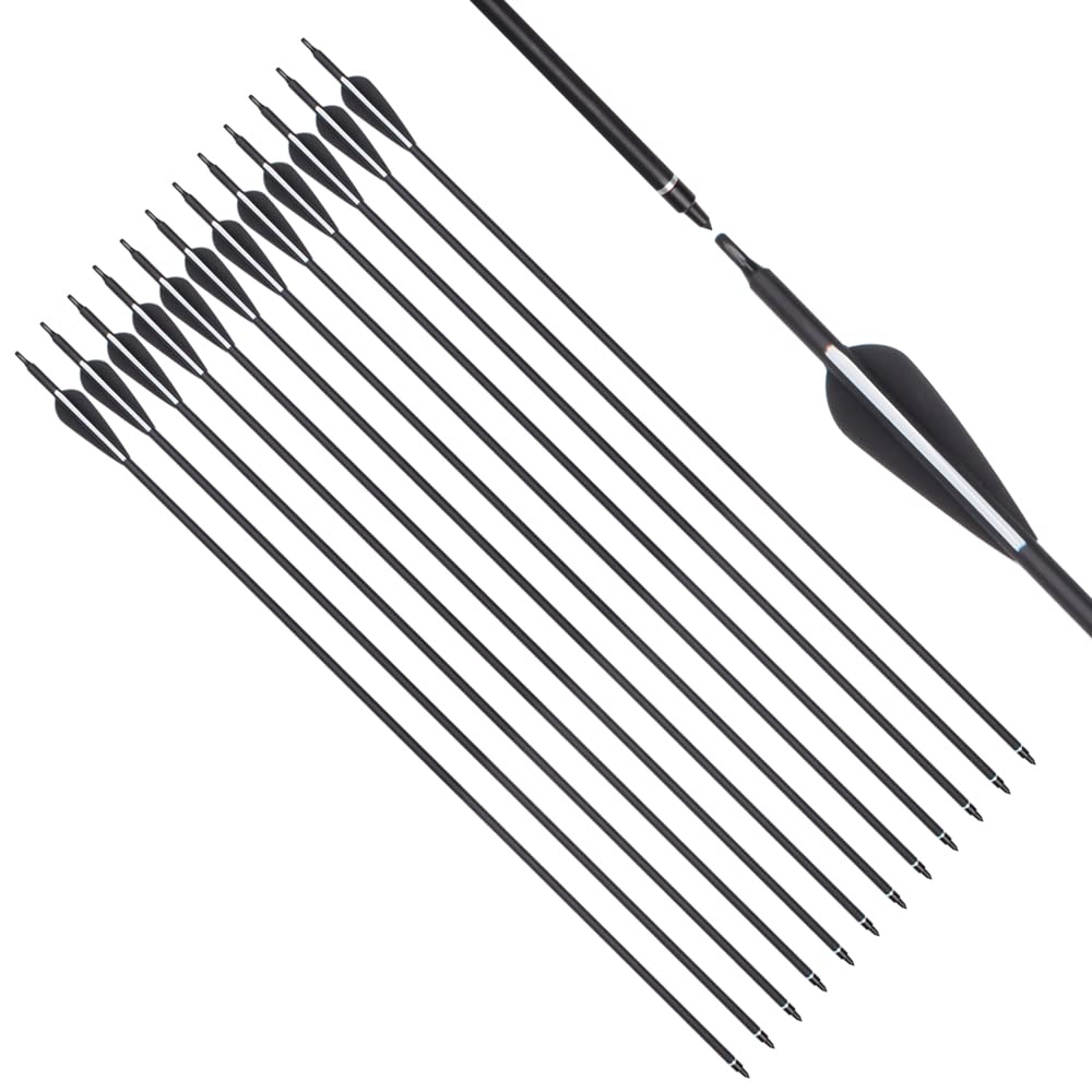 Archery Bow Carbon Arrow Hunting Target Practice Arrows 26 Inch with Removable Tips for Compound & Recurve Bow Spine 500 12 PCS