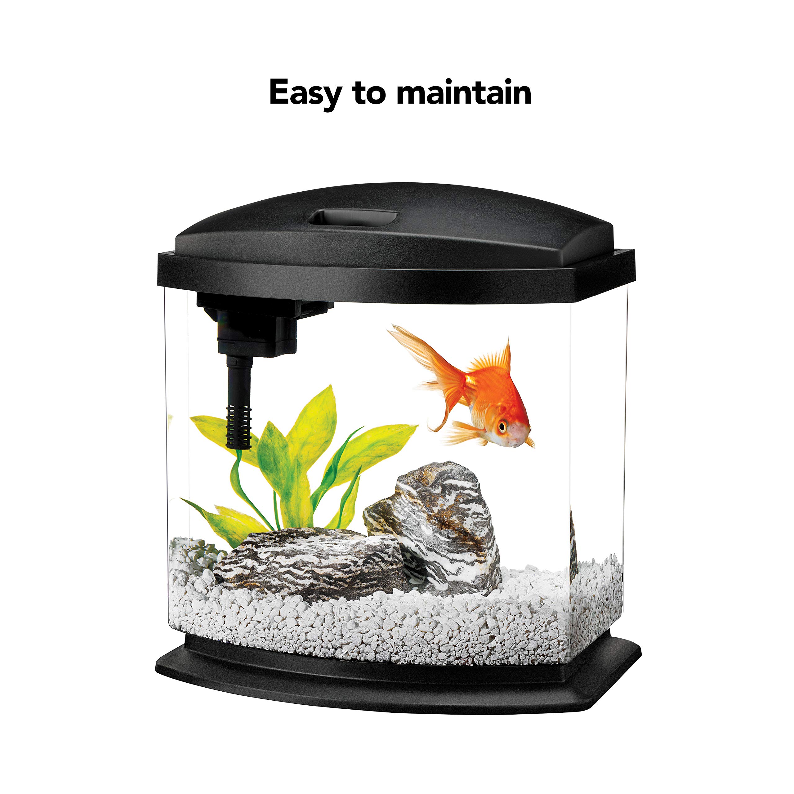 Aqueon LED Minibow Aquarium Kit Black
