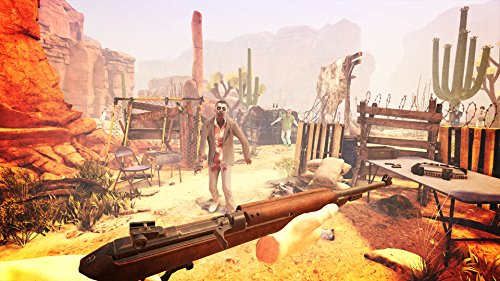 Arizona Sunshine (PSVR) (PS4)
