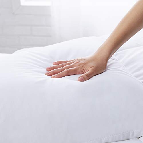 Amazon Brand – Pinzon Body Pillow with Cover