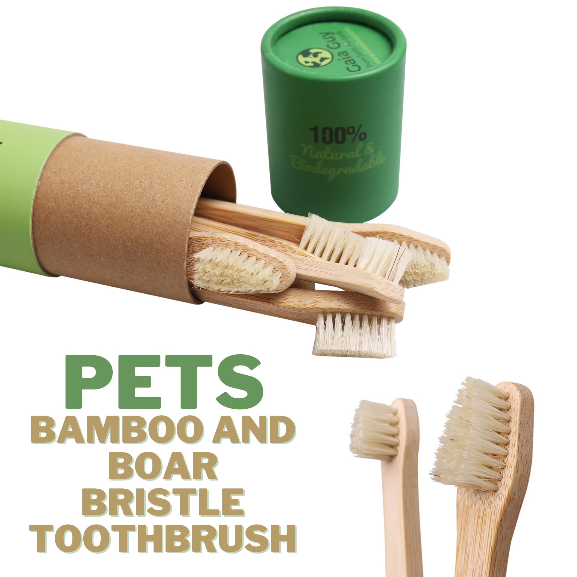 Gaia Guy Bamboo and Boar Bristle Double-Sided Pet Toothbrushes - 6-Pack - for Dogs, Cats and Planet - Plastic-Free and Nylon-Free Natural Bristles - No Microplastics